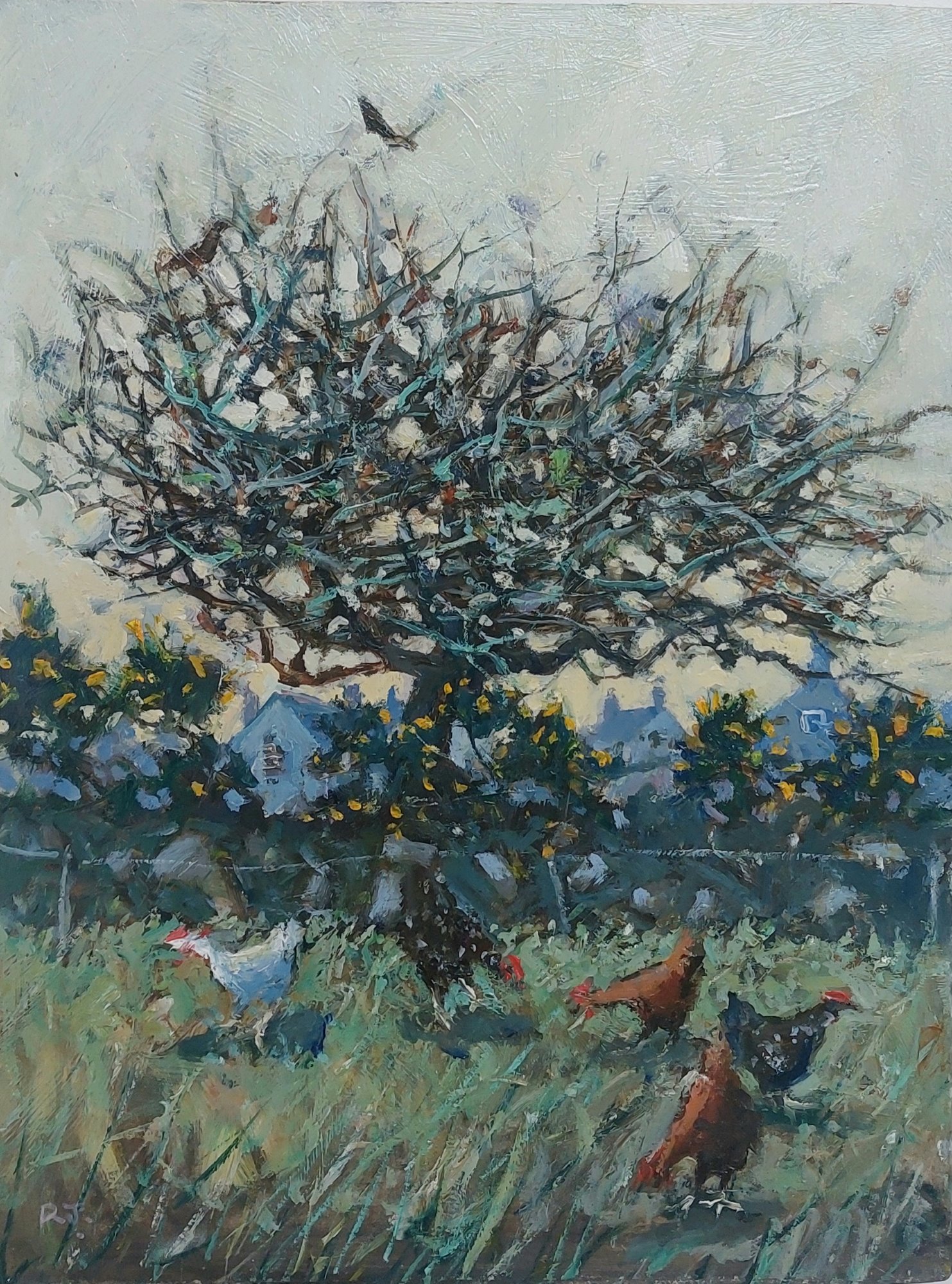 Thomas Henry Gallery - Robert Jones Paintings in Cornwall