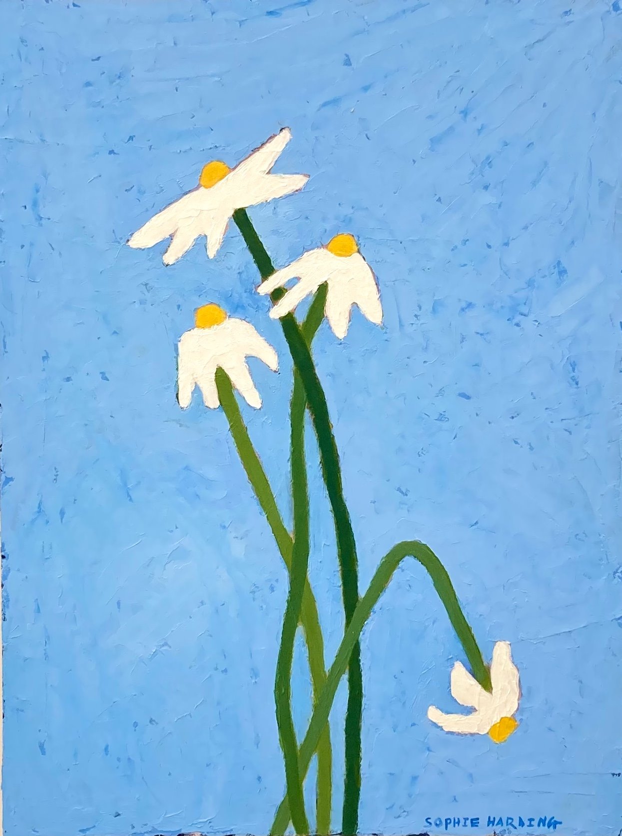 Thomas Henry Gallery - Sophie Harding Paintings in Cornwall